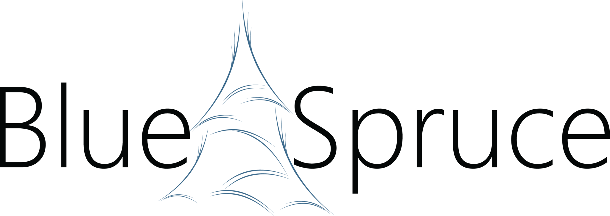 Blue Spruce Technologies