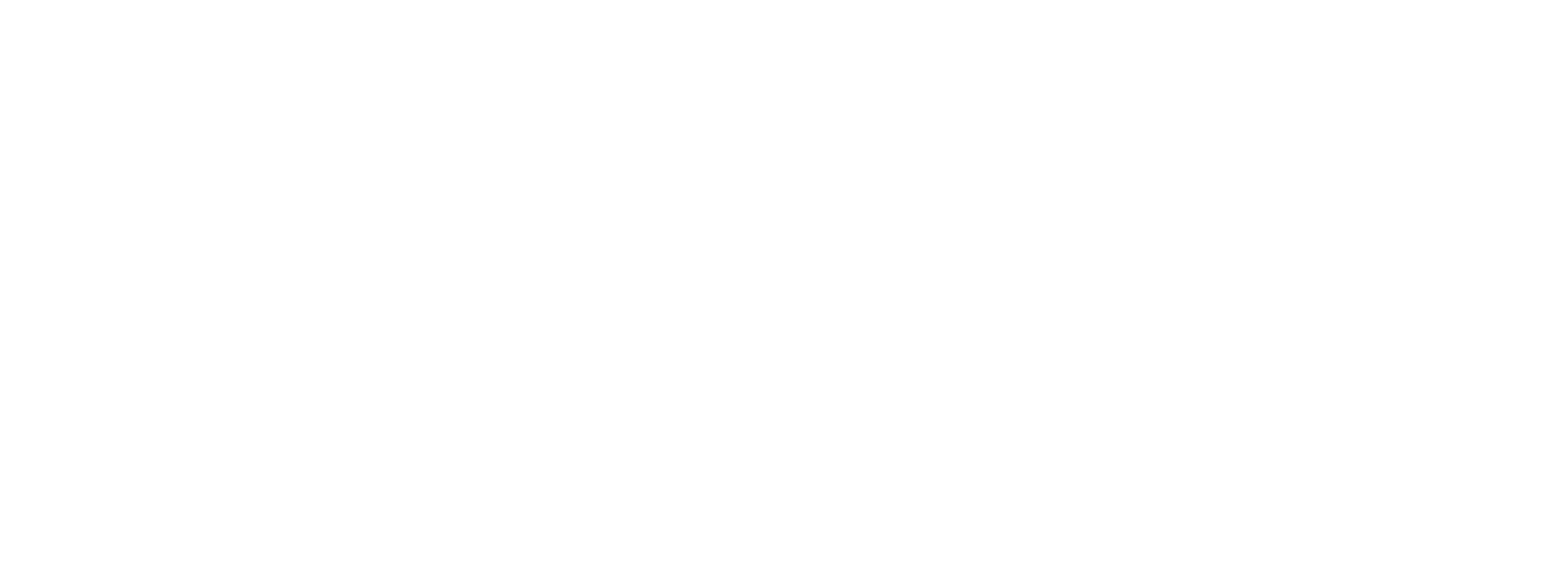 About Us – Blue Spruce Technologies